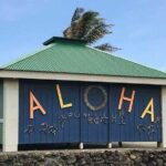 Punaluu Black Sand Beach Tour - Volcanoes National Park & Hilo - The Practical Side: What’s Included and What’s Not
