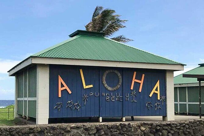 Punaluu Black Sand Beach Tour - Volcanoes National Park & Hilo - The Practical Side: What’s Included and What’s Not