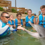 Punta Cancun: Swim with dolphins Harmony - What the Price Includes and What It Doesn’t