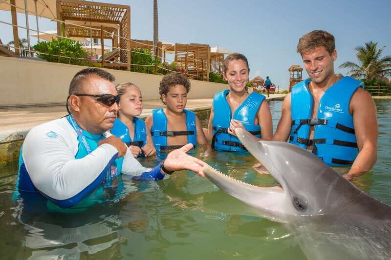 Punta Cancun: Swim with dolphins Harmony - What the Price Includes and What It Doesn’t