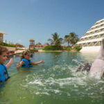 Punta Cancun: Swim with dolphins Primax - Detailed Breakdown of the Experience