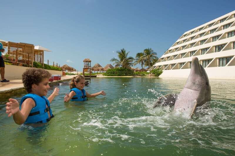 Punta Cancun: Swim with dolphins Primax - Detailed Breakdown of the Experience