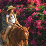 Punta de Mita/Sayulita: Horseback Riding Tour - The Ranch and Its Animal Residents