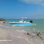 Punta Gorda /Boca Grande: Barrier Island Shelling Tour - Exploring the Experience in Detail