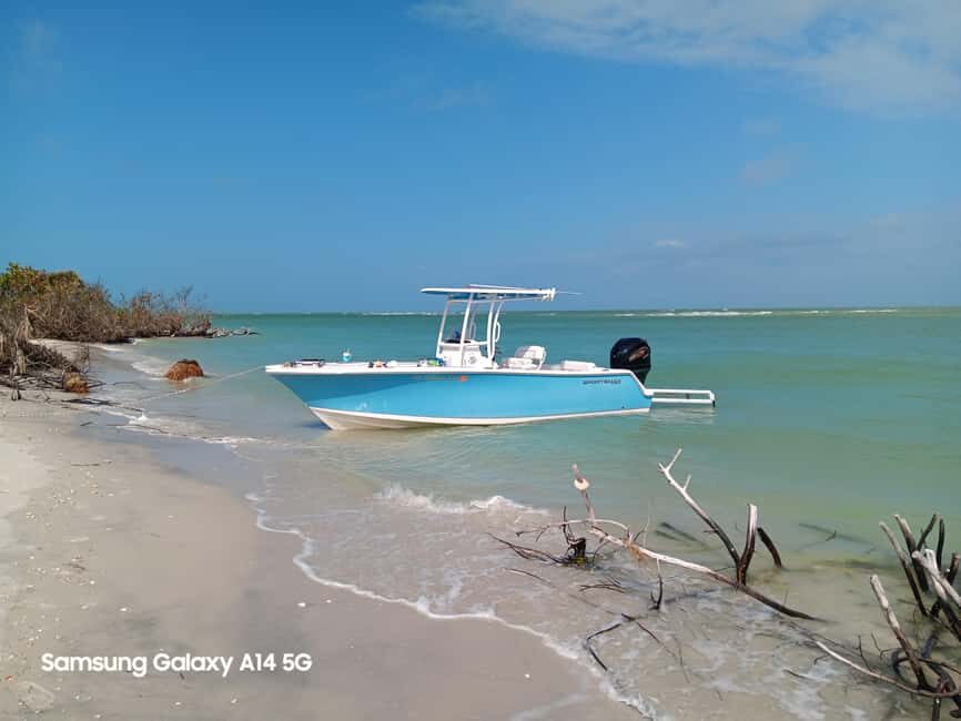 Punta Gorda /Boca Grande: Barrier Island Shelling Tour - Exploring the Experience in Detail