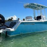 Punta Gorda/Boca Grande Dolphin Tour and Cabbage Key - Who Is This Tour Best For?