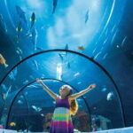 Quebec: Aquarium du Quebec Entry Ticket - What the Reviews Say