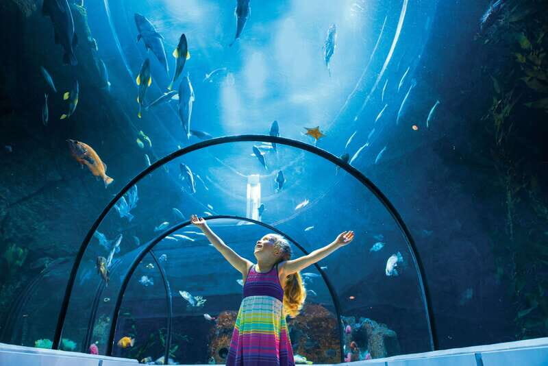 Quebec: Aquarium du Quebec Entry Ticket - What the Reviews Say