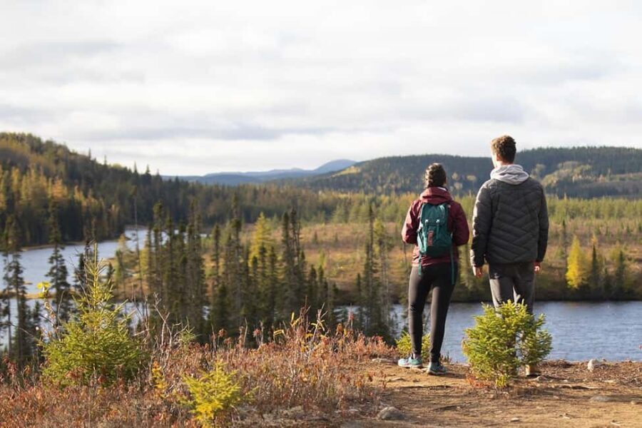 Québec City: Boreal Taiga Guided Hike - Why This Tour Is a Good Value