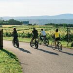 Quebec City - Guided E-Bike Tour & Tastings - Ile d'Orléans - Final Thoughts: Is this Tour Right for You?