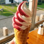 Quebec City: Island of Orléans Taste Trail - Authentic Experiences You’ll Take Away