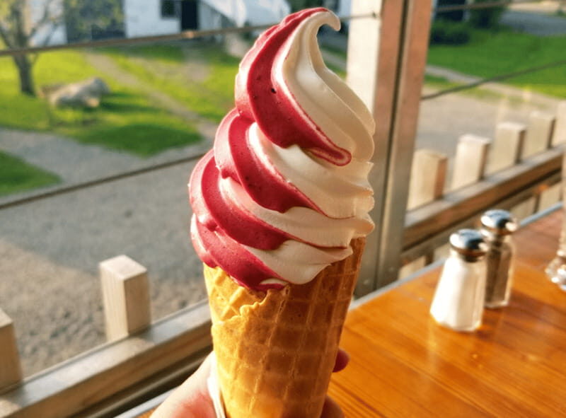 Quebec City: Island of Orléans Taste Trail - Authentic Experiences You’ll Take Away