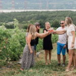 Quebec City: Island of Orleans Wine Tour - What Makes This Tour Stand Out?