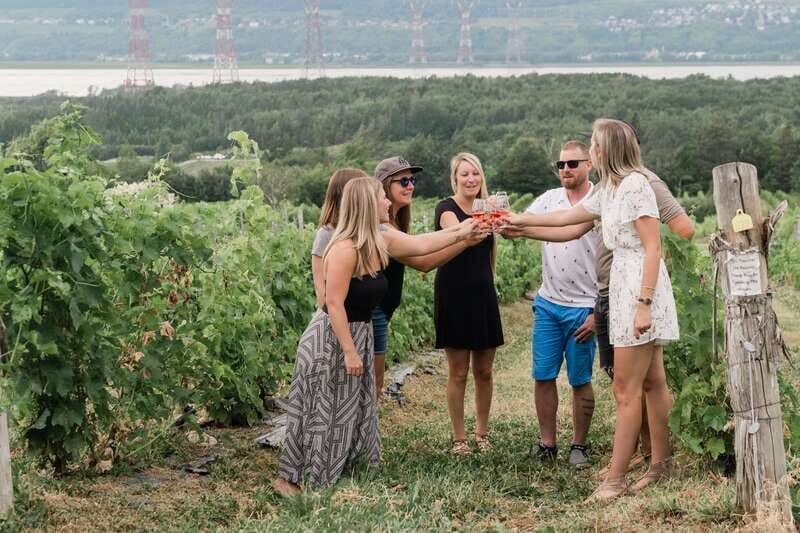 Quebec City: Island of Orleans Wine Tour - What Makes This Tour Stand Out?