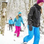 Quebec City: Jacques-Cartier National Park Snowshoeing Tour - Authentic Reviews That Speak Volumes
