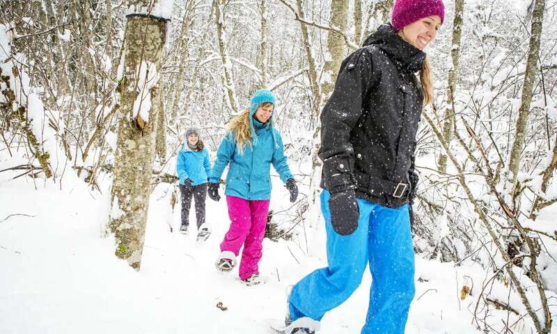 Quebec City: Jacques-Cartier National Park Snowshoeing Tour - Authentic Reviews That Speak Volumes