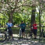 Quebec City : Private Electric Bike Tour - Why This Tour Works Well