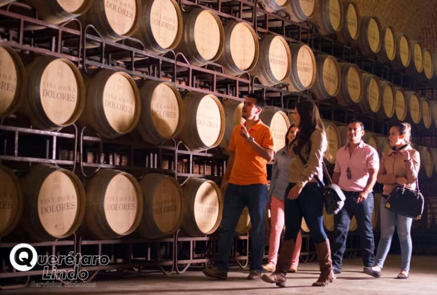 Querétaro: Art, Cheese and Wine Route - What Is Included and What’s Not