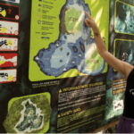 Quintana Roo: Cenote Dive - Who Should Consider This Tour?