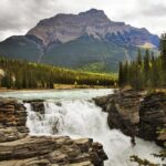 Rafting Athabasca Falls Run in Jasper - What the Reviews Tell Us