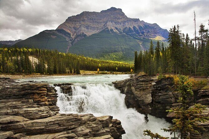 Rafting Athabasca Falls Run in Jasper - What the Reviews Tell Us