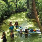 Rainbow Springs Clear Kayak and Paddleboard Rentals - Who Should Consider This Tour