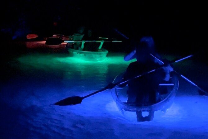 Rainbow Springs: Clear Kayak Sunset & Glow Tour - The Itinerary: What to Expect
