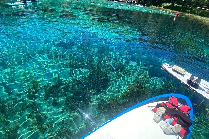 Rainbow Springs Electric Paddle Board Rentals - The Sum Up