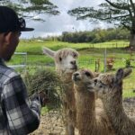 Ranch Tour & Animal Encounters - Who Should Consider This Tour?