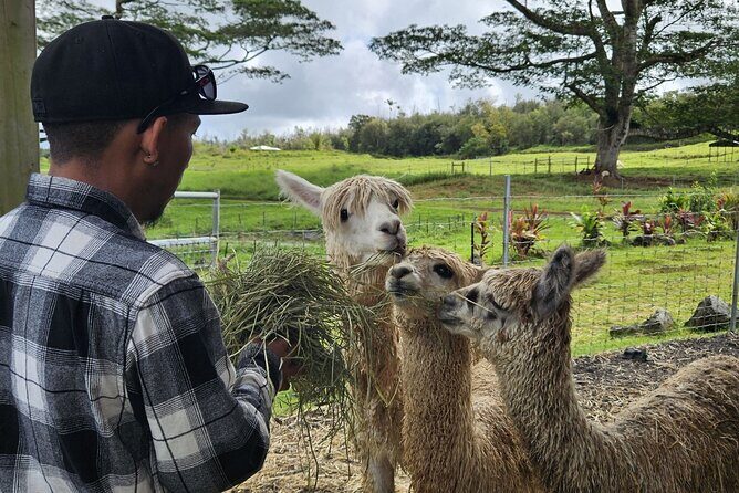 Ranch Tour & Animal Encounters - Who Should Consider This Tour?