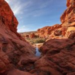 Red Rock Canyon Guided Automatic Slingshot Tour - Who Will Love This Tour?