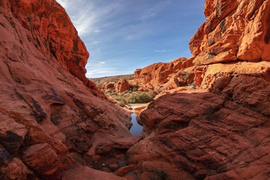 Red Rock Canyon Guided Automatic Slingshot Tour - Who Will Love This Tour?