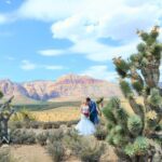 Red Rock Canyon Wedding by Private Limousine - Additional Inclusions and Customizations