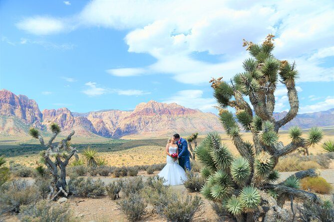 Red Rock Canyon Wedding by Private Limousine - Additional Inclusions and Customizations