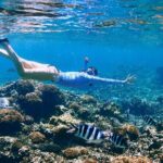 Reef Snorkeling with ATV, Zipline, Cenote that includes lunch and transportation - The Jungle Park: ATV, Zipline, and Cenote
