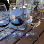 Relaxing Afternoon Wine Tour through Niagara's Wine Country - The Value of the Experience
