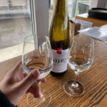 Relaxing Lunch & Wine Tour through Niagara's Wine Country - Who Will Love This Tour?