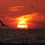 Relaxing Sunset/Evening Cruise in Newport Beach - The Overall Experience and Review Insights