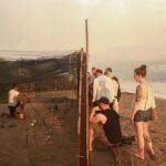 Release of Sea Turtles in Camp Tortuguero - Final Thoughts