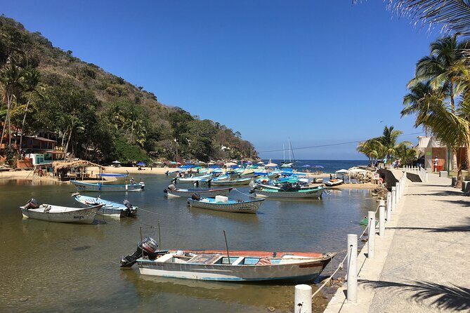 Remote Hidden Beaches Hike of South Shore (Puerto Vallarta) - Authentic Experiences and Genuine Highlights