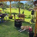 Ride Ajusco mountain trails & enjoy a ranch barbecue - The Scenic Horseback Ride