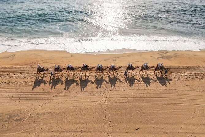 Ride the Wild Camel Safari and Off Road Rush - The Experience in Context: Pros and Cons