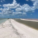 Rio Lagartos and Las Coloradas: EcoSafari Flamingo classic - Value and Practical Aspects