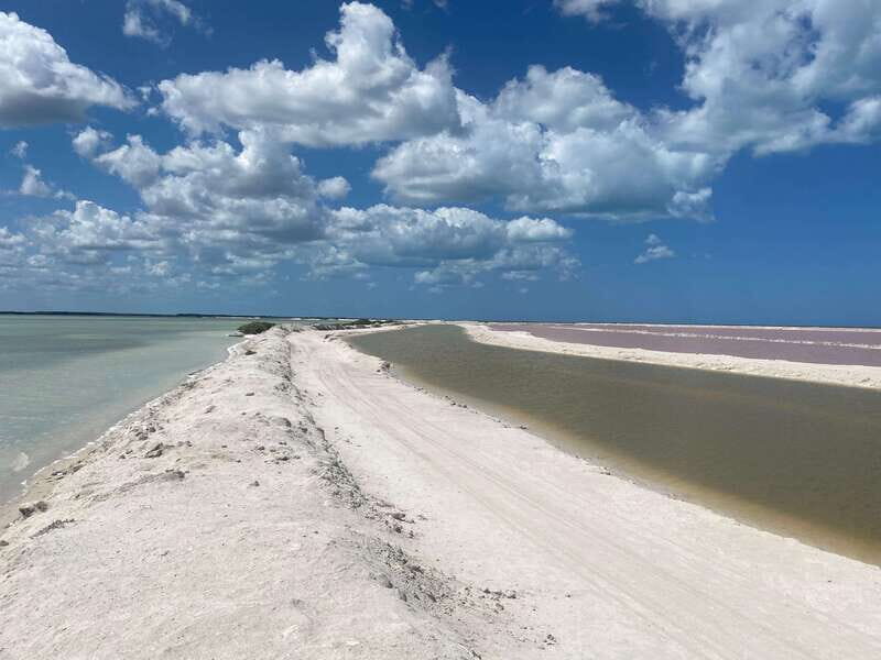 Rio Lagartos and Las Coloradas: EcoSafari Flamingo classic - Value and Practical Aspects