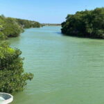 Río Lagartos and Las Coloradas: Natural Experience - Who Should Consider This Tour?