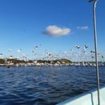 Rio Lagartos and San Felipe: Cerritos Island, adventure tour and Mayan culture. - Final Thoughts