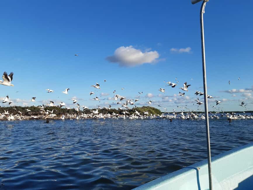 Rio Lagartos and San Felipe: Cerritos Island, adventure tour and Mayan culture. - Final Thoughts