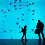 Ripley's Aquarium: Sharks After Dark Entry (After 5PM) - Navigating the Aquarium