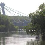 River Lizards Boat Tour for Flora and Fauna Observation - Practical Tips for Visitors