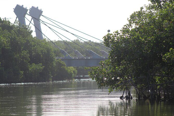 River Lizards Boat Tour for Flora and Fauna Observation - Practical Tips for Visitors